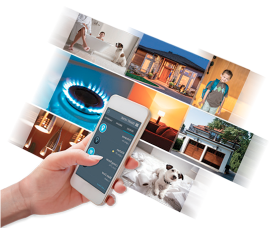 Kit alarme Risco Agility 4 sans fil IP RTC/GSM 4G pour maison commerce